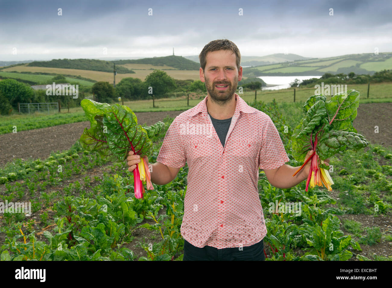 Padstow Kitchen Garden,owned by ex chef Ross Geach,where he grows ...