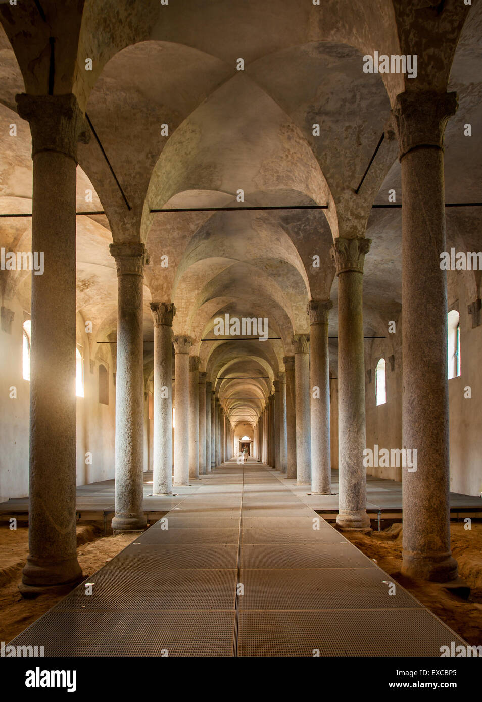 Ancient stables designed leonardo da hi-res stock photography and ...