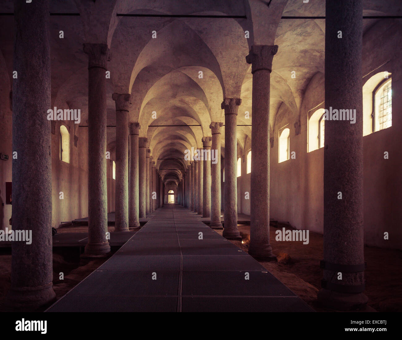 Ancient stables designed leonardo da hi-res stock photography and ...