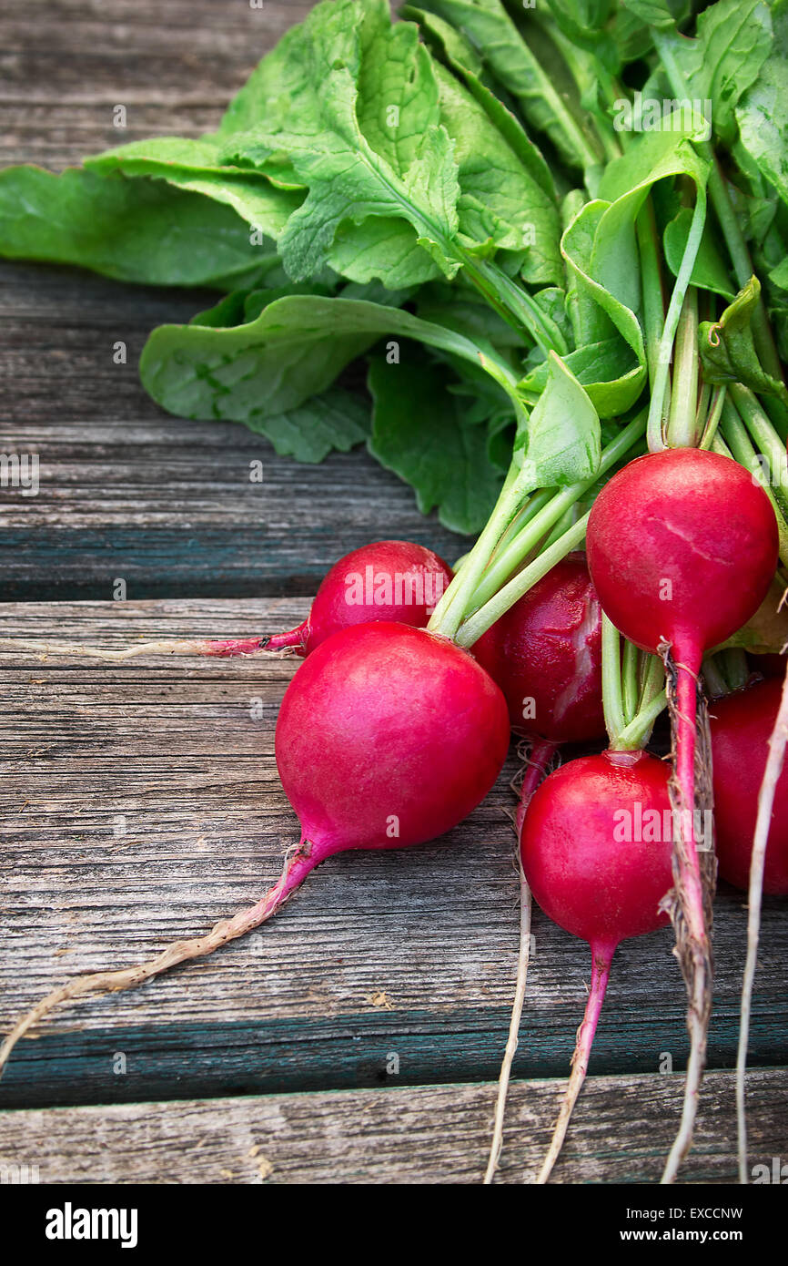 Radish wood hi-res stock photography and images - Alamy