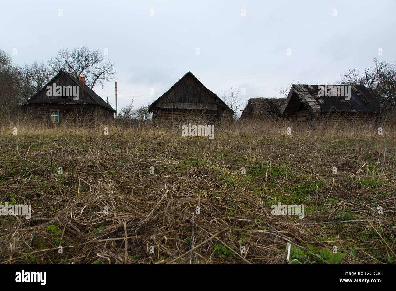 the old overgrown house constructed of logs in the lonely village Stock ...