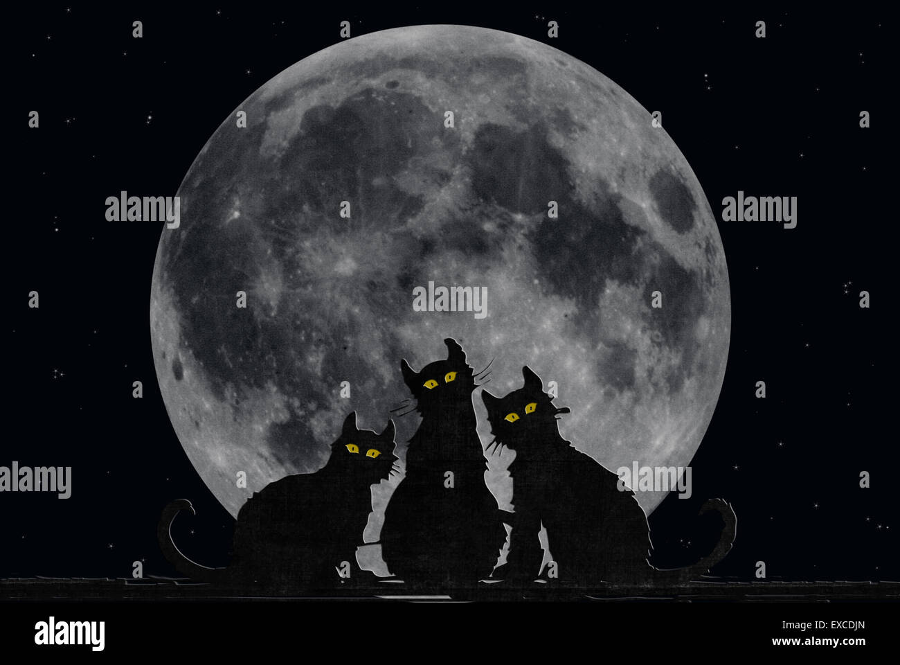 Three black cats with full moon background Stock Photo - Alamy