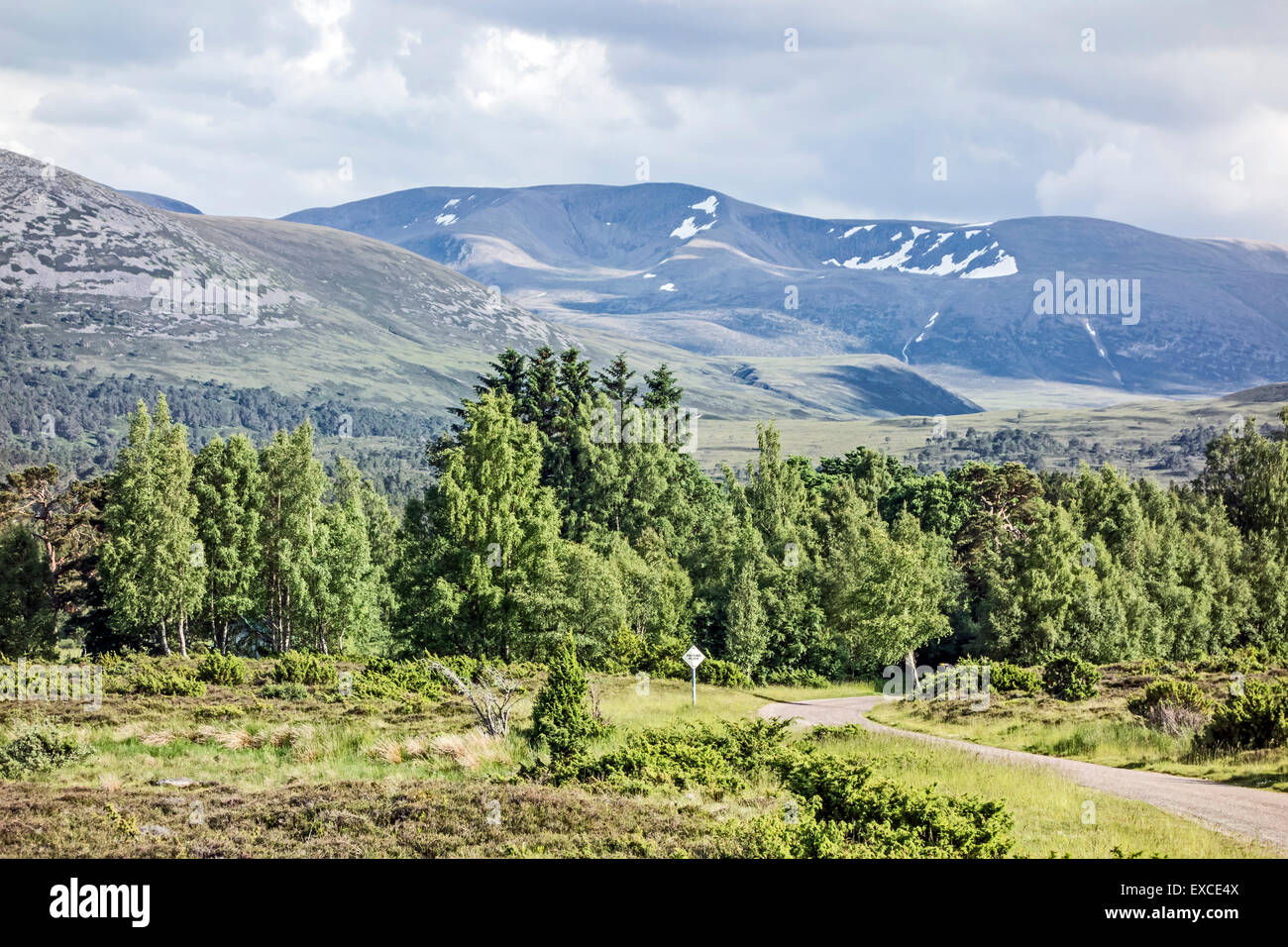 Mighty Scottish mountain Braeriach in the Cairngorms National Park on a ...