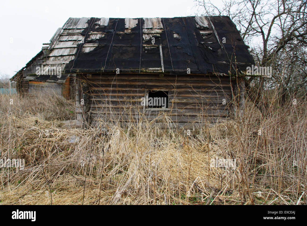 the old overgrown house constructed of logs in the lonely village Stock ...
