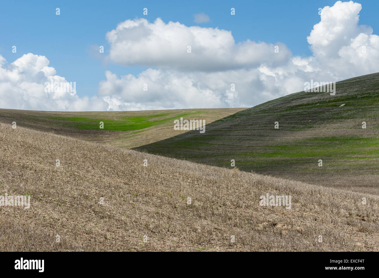 Rolling farm fields hi-res stock photography and images - Alamy