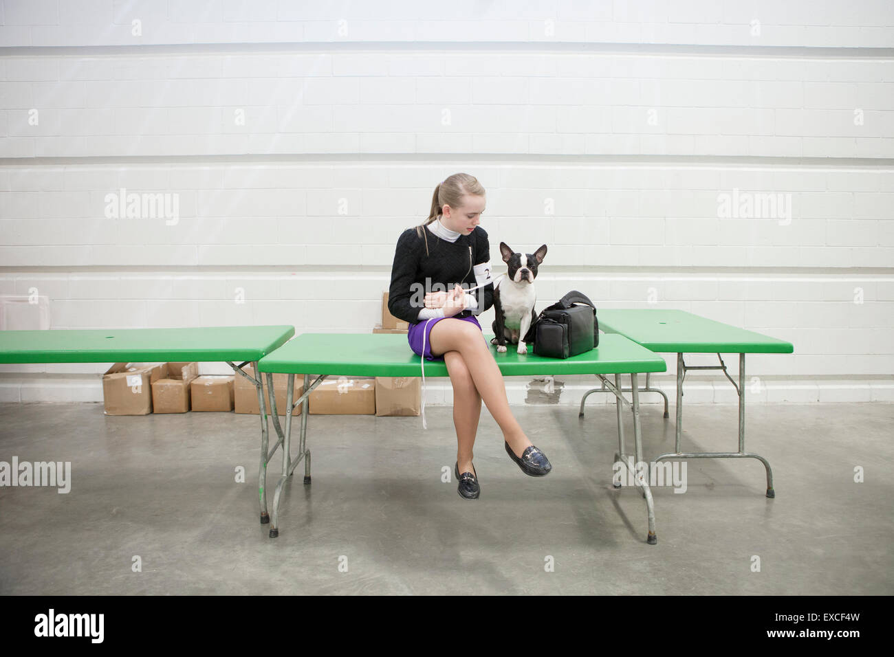 A young girl dog handler sits on a green plastic table with her French ...