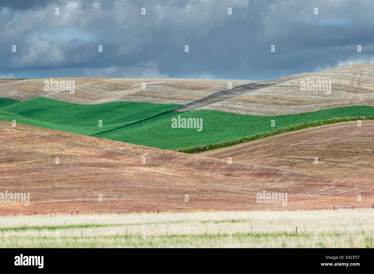 Clouds and wheat fields hi-res stock photography and images - Alamy