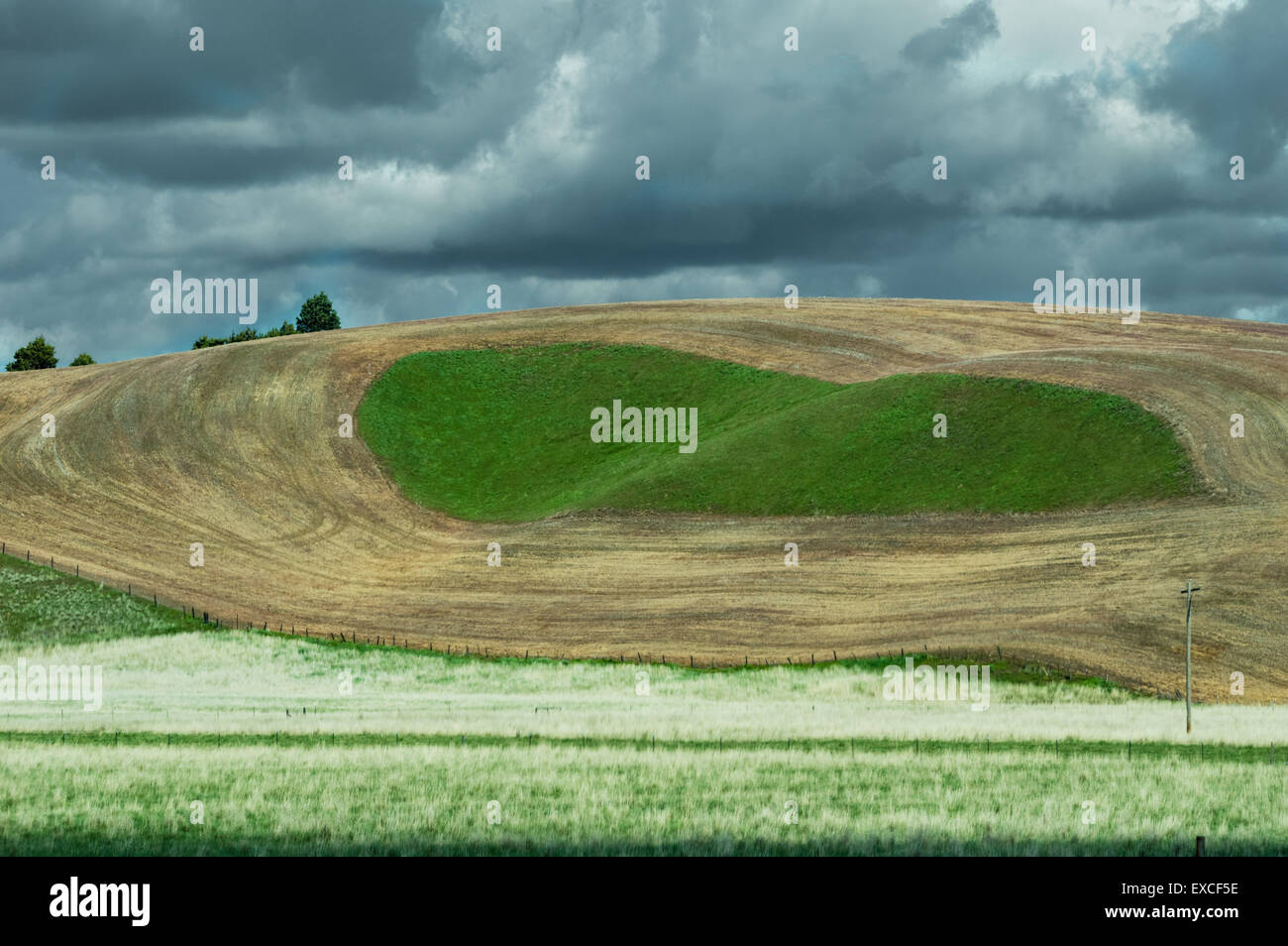 Wheat fields harvested and cut Stock Photo - Alamy