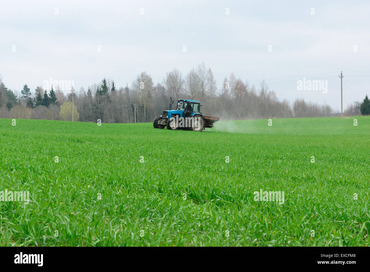 the blue tractor with a spray processes a green field for a good ...