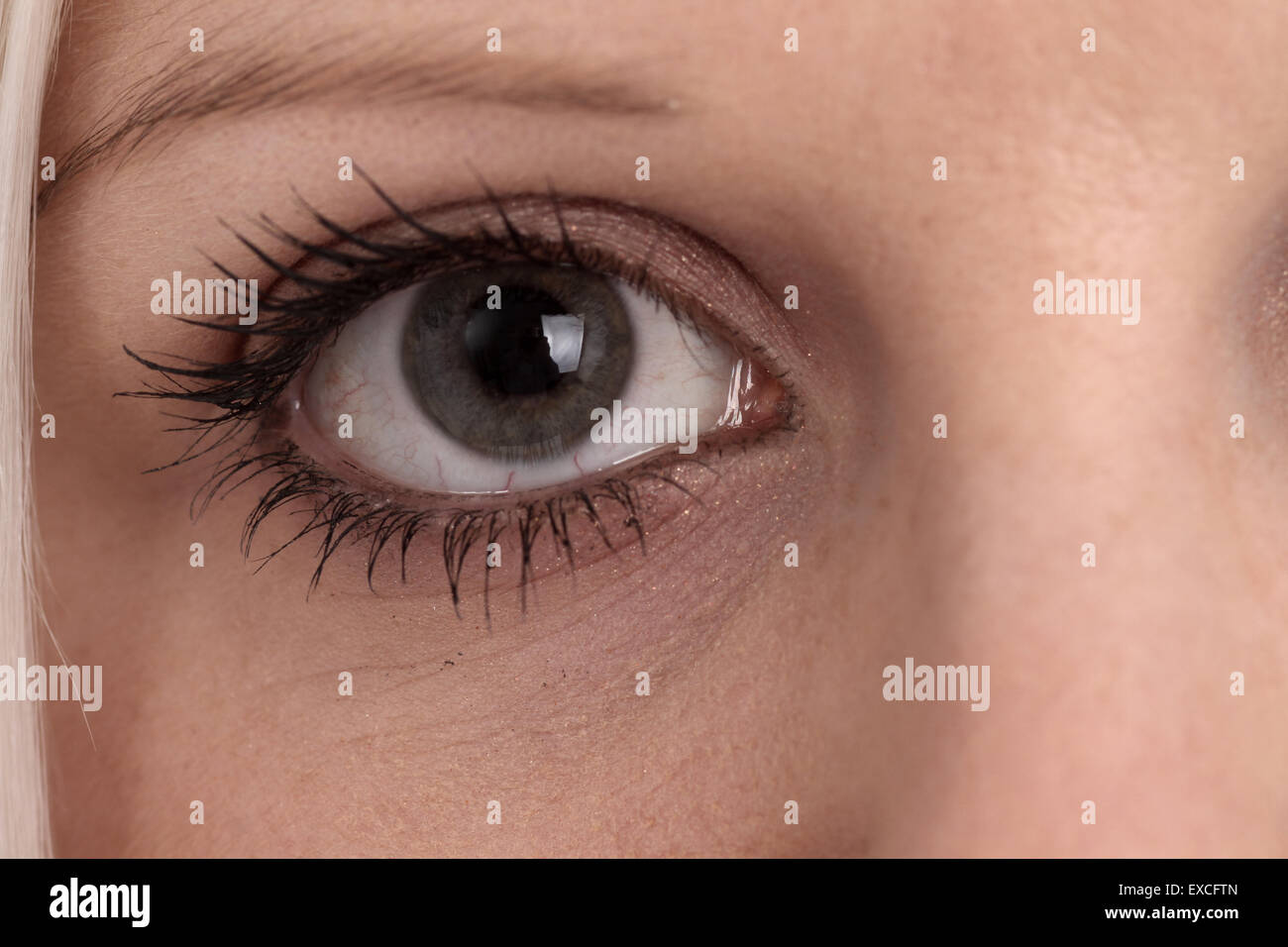 Human girl hi-res stock photography and images - Alamy
