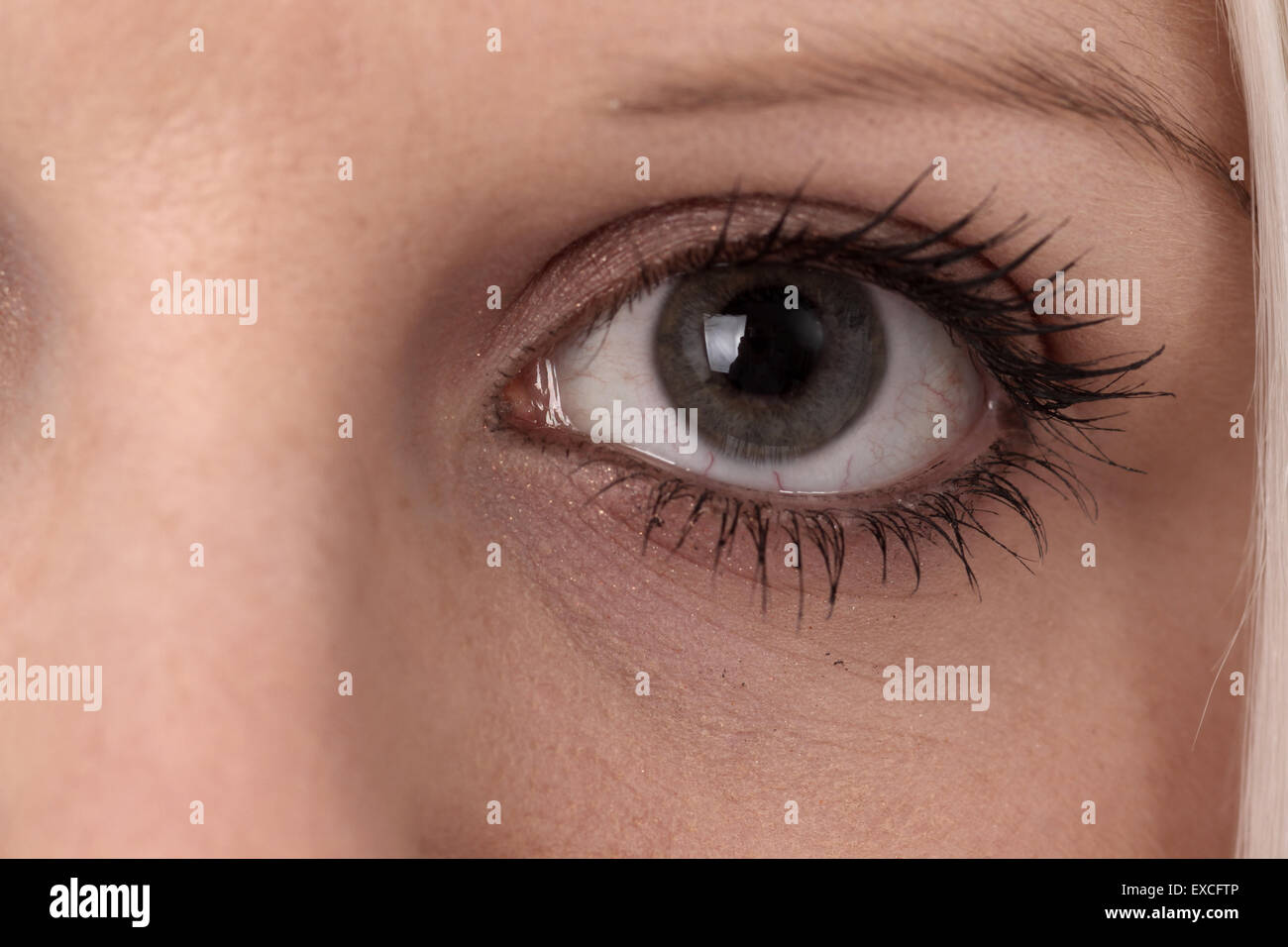 Close up detail of a beautiful Caucasian girls left eye Stock Photo - Alamy