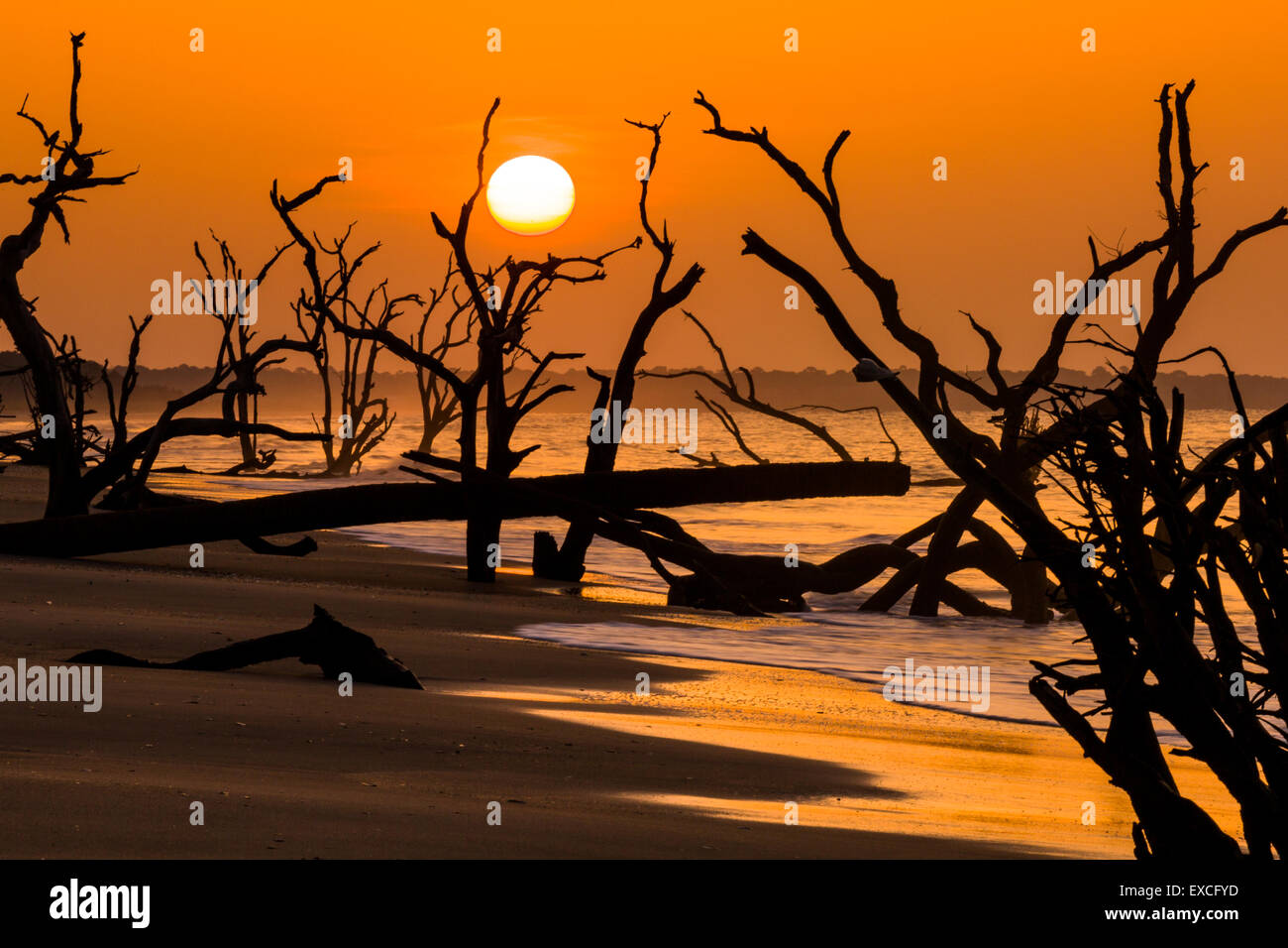 Sunrise over Boneyard Beach at Botany Bay Plantation July 11, 2014 in ...
