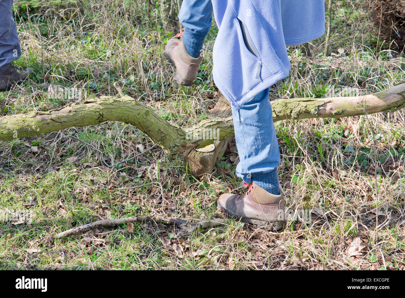 Rambler stepping over a fallen branch and a footpath sign Stock Photo ...