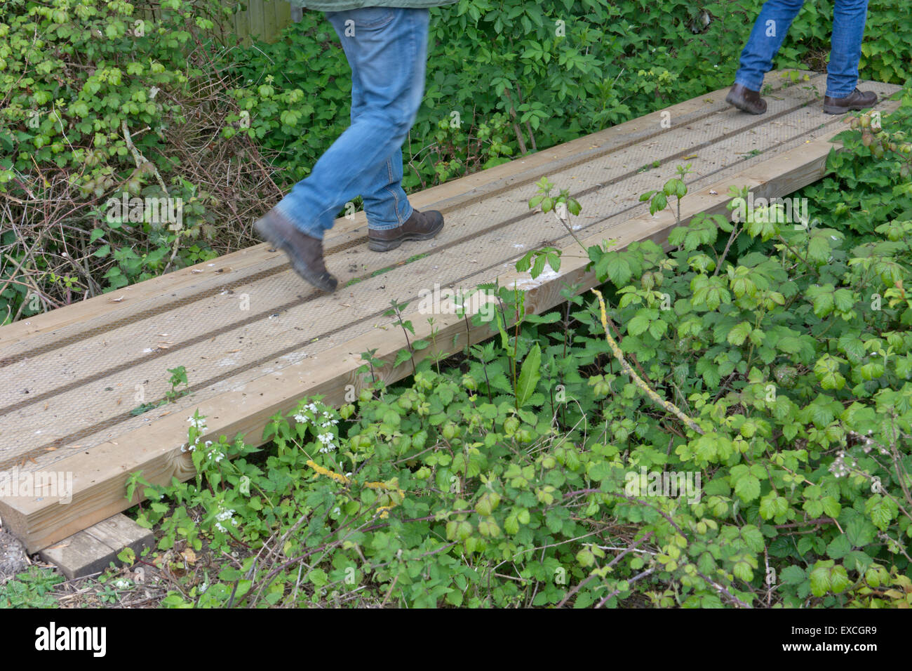 Ditch weeds hi-res stock photography and images - Alamy