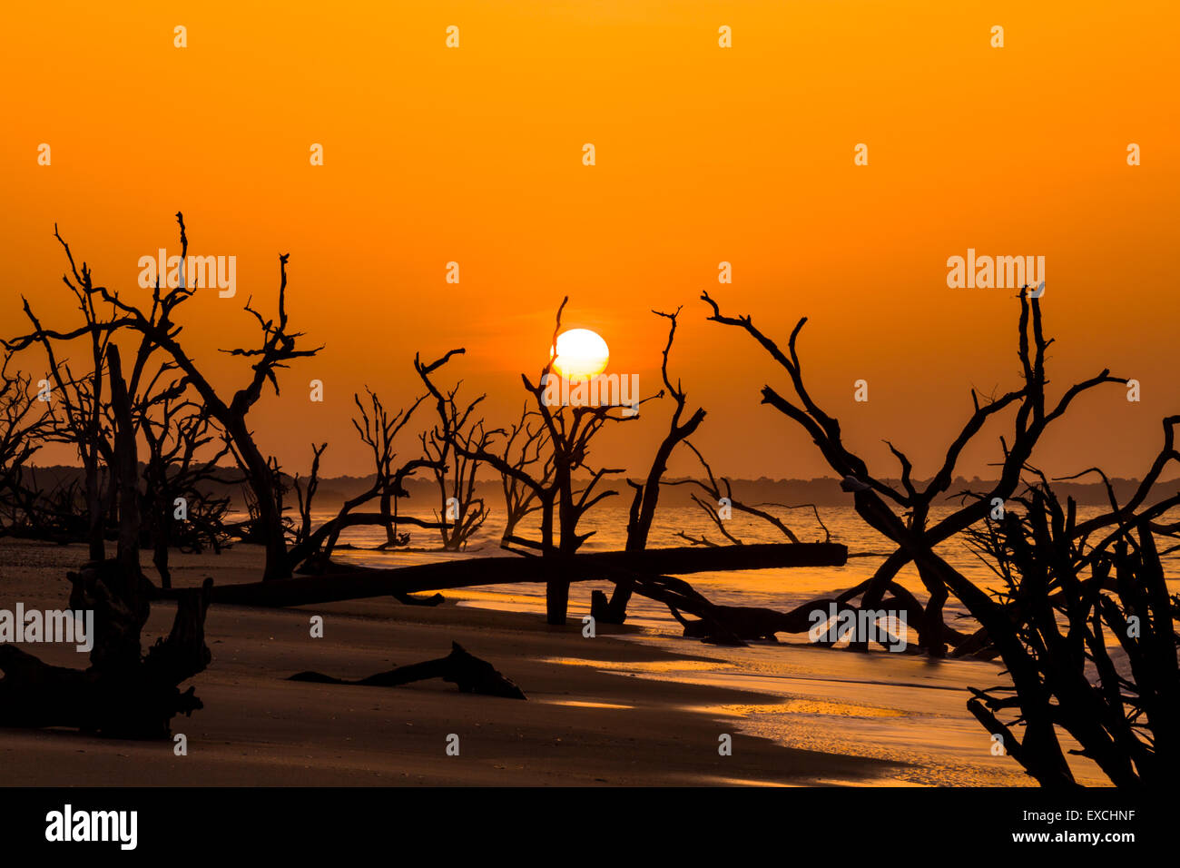 Sunrise over Boneyard Beach at Botany Bay Plantation July 11, 2014 in ...