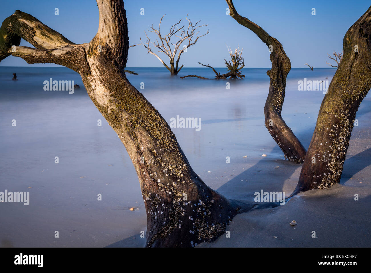 Dawn breaks over Boneyard Beach at Botany Bay Plantation July 11, 2014 ...
