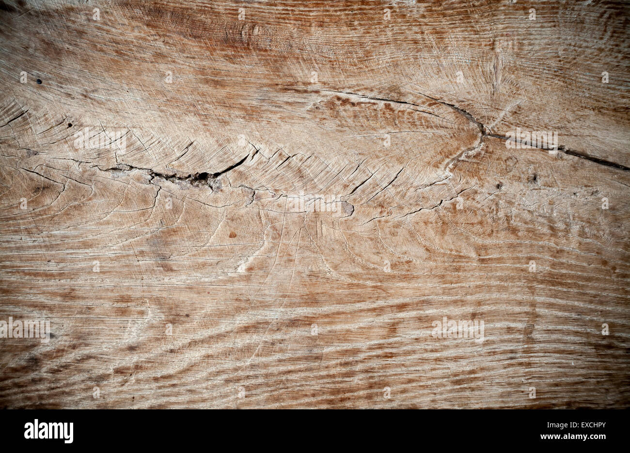 Closeup of an old wooden surface, details of a texture Stock Photo - Alamy