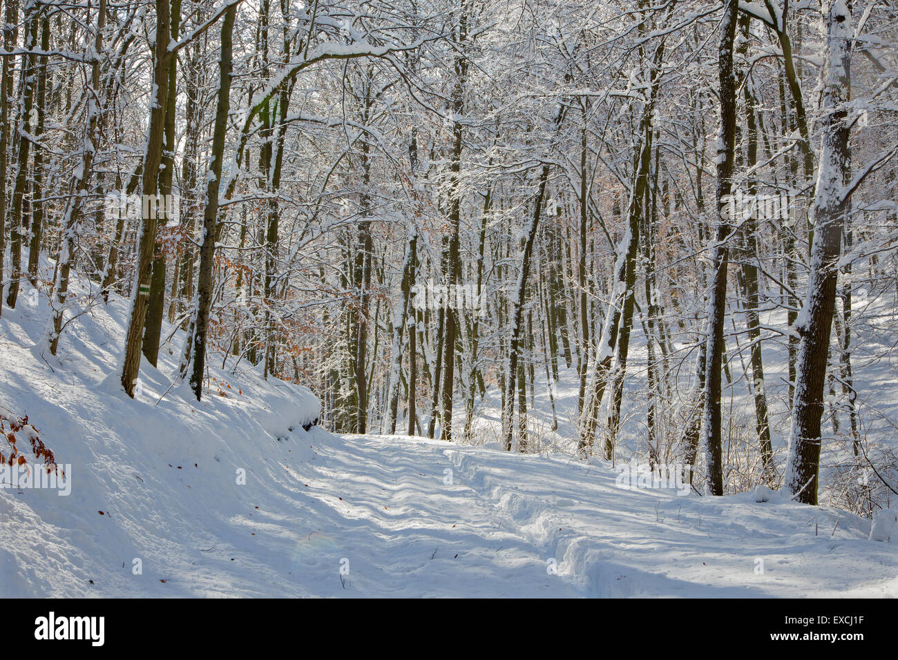 Seaso way hi-res stock photography and images - Alamy