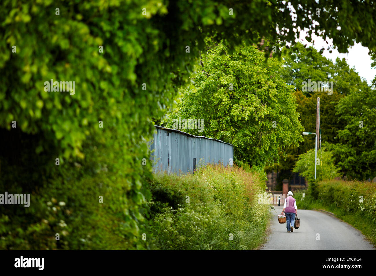 Runcorn is an industrial town and cargo port in Halton, Cheshire, UK ...