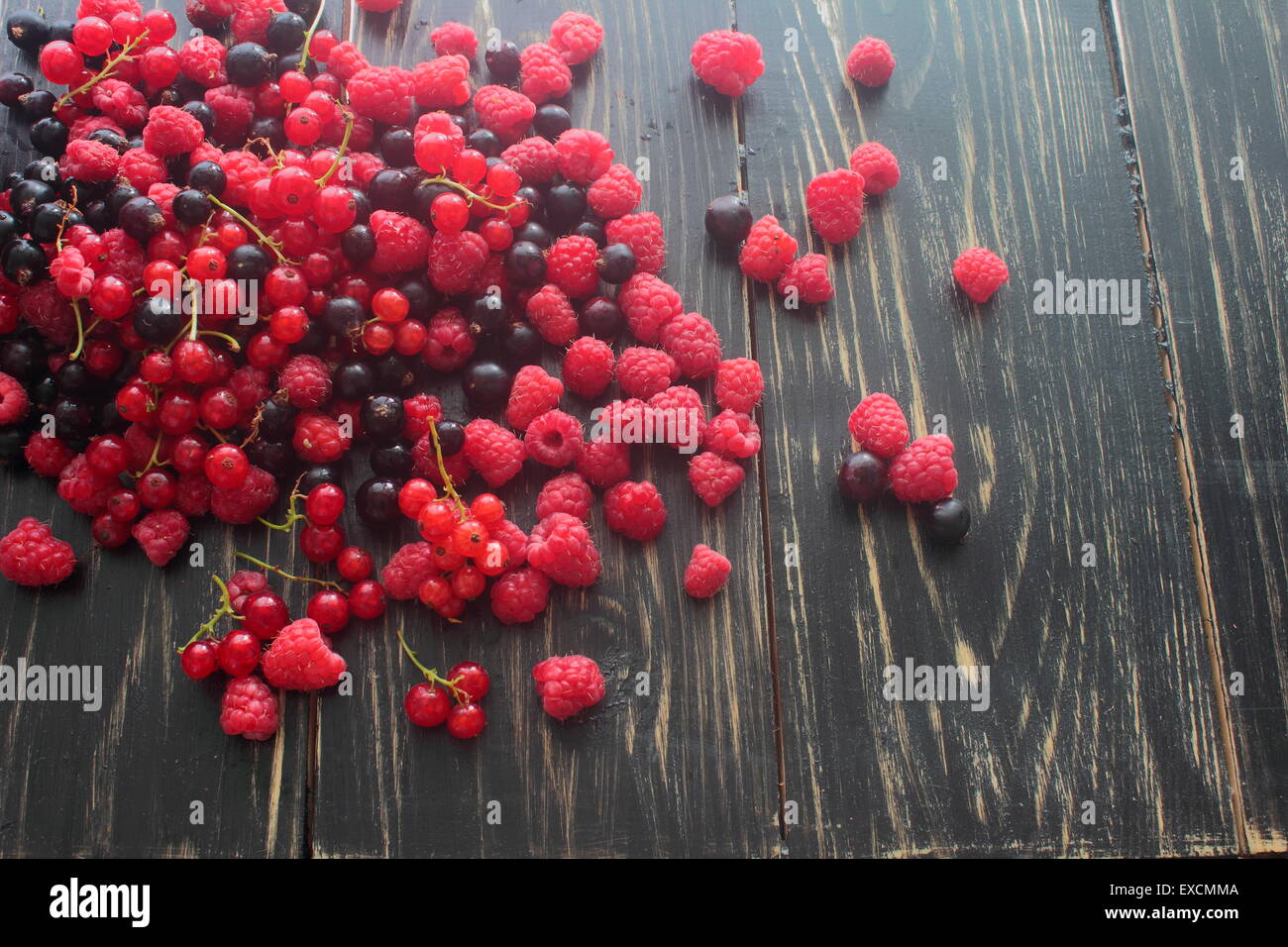 Black currant harvest hi-res stock photography and images - Alamy