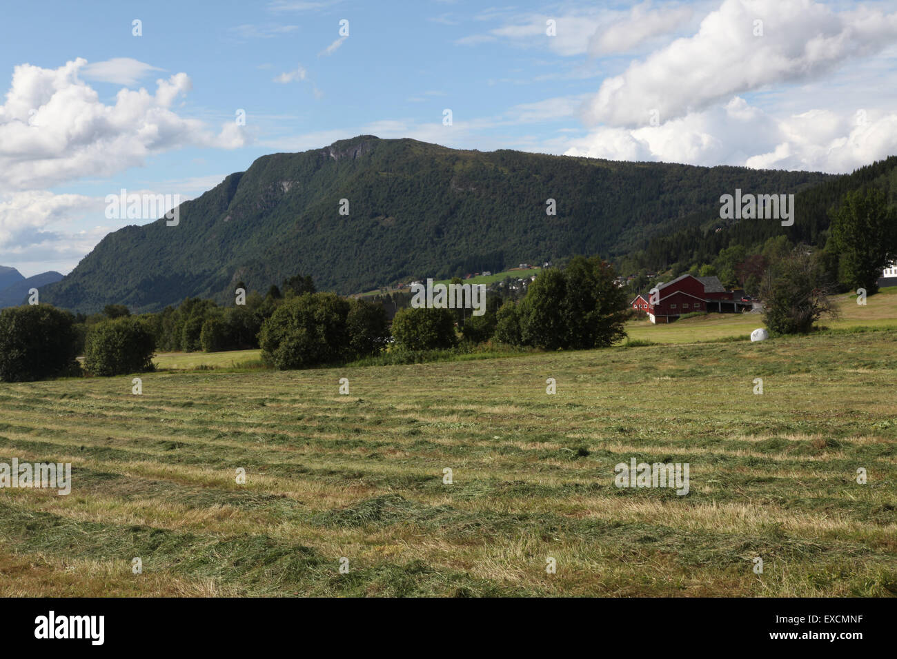 Mowed field in Norway Stock Photo - Alamy