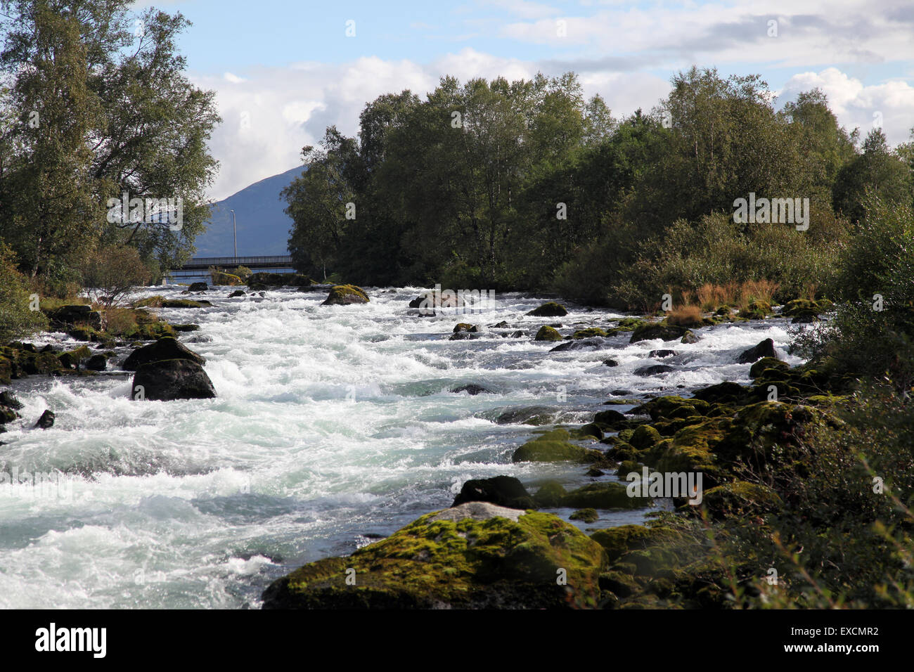 Stream boulders trees hi-res stock photography and images - Alamy