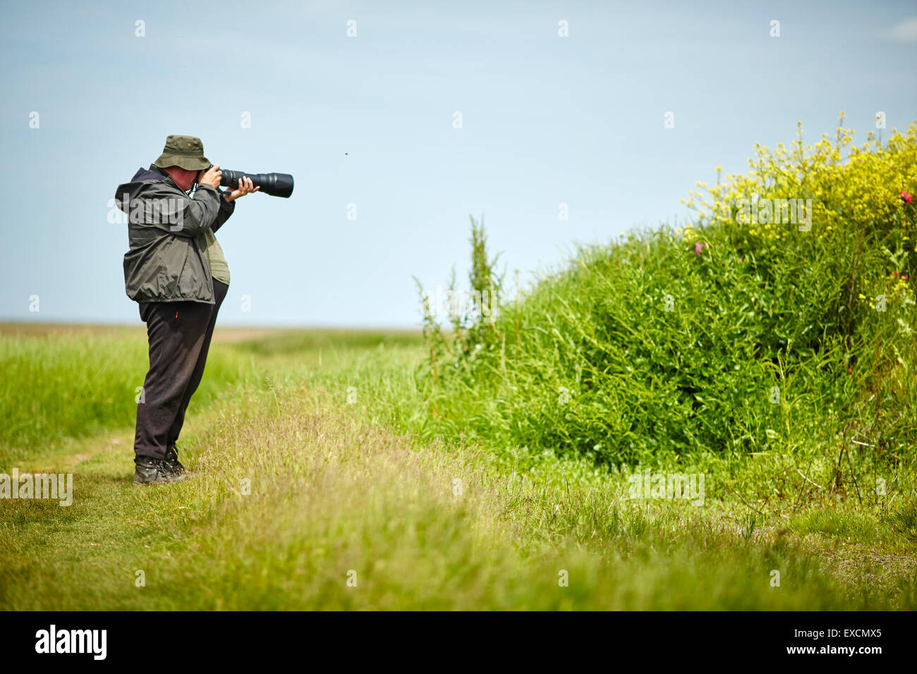 Pictures around Southport Pictured Ribble Estuary Nature reserve, a ...