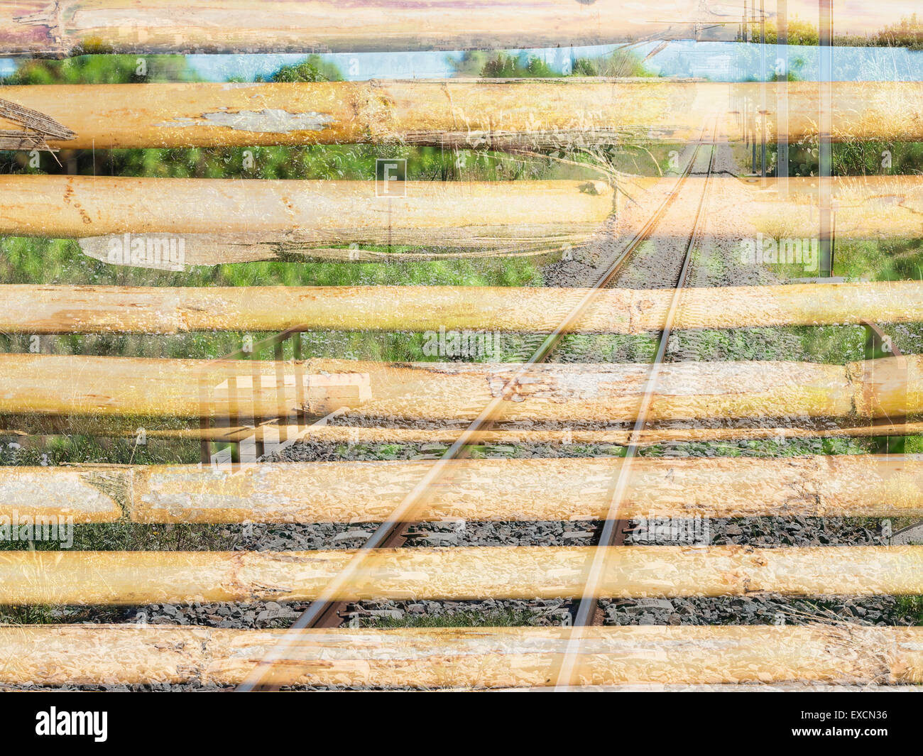 Double reeds hi-res stock photography and images - Alamy