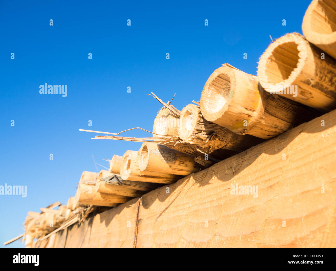 Reeds frame hi-res stock photography and images - Alamy