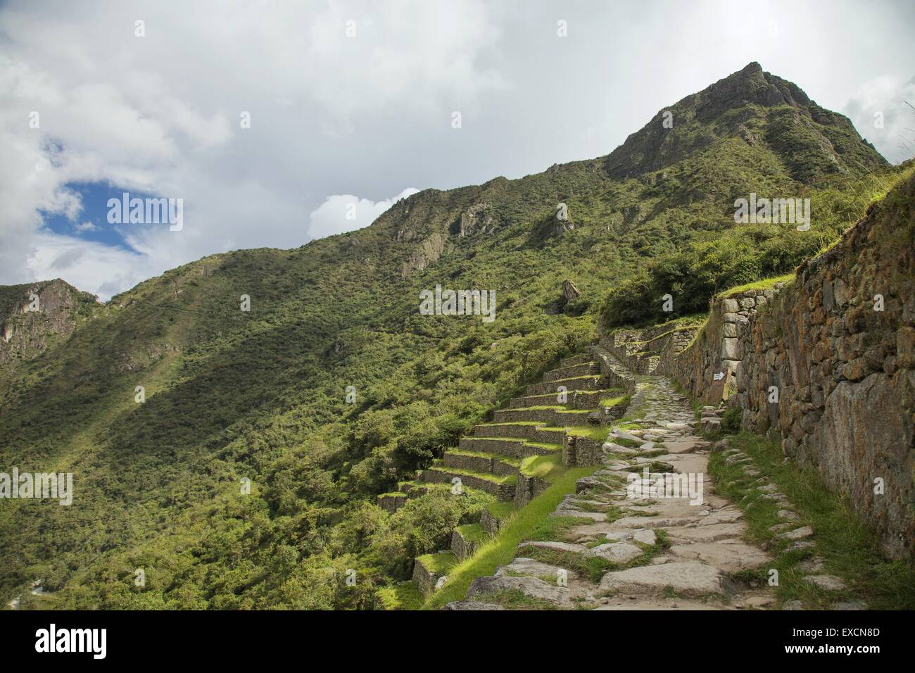 Inca trail leading to Machu Picchu, Peru Stock Photo - Alamy