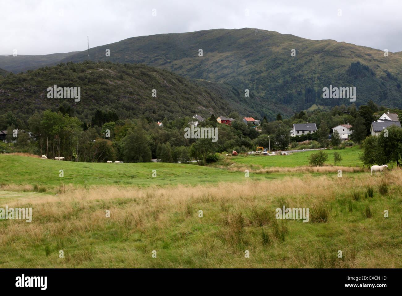 Valley in Norway Stock Photo - Alamy