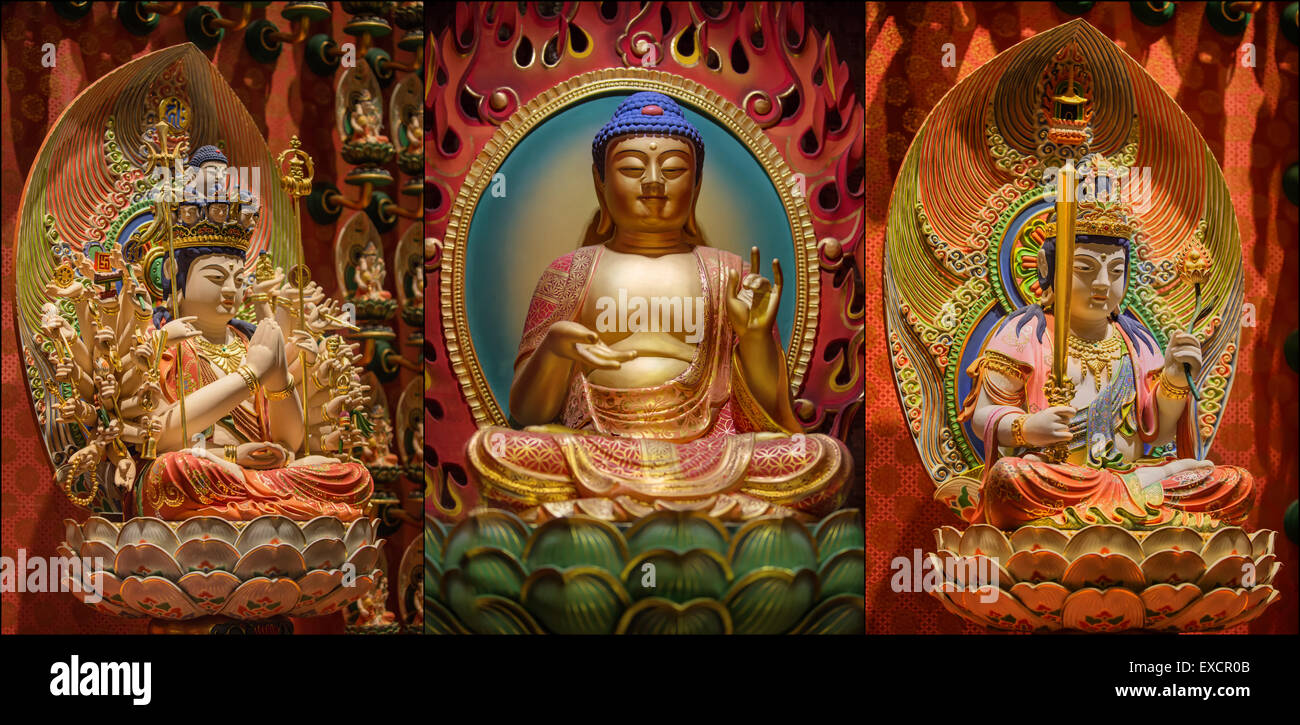 Collage of The Lord Buddha from Chinese Buddha Tooth Relic Temple in ...