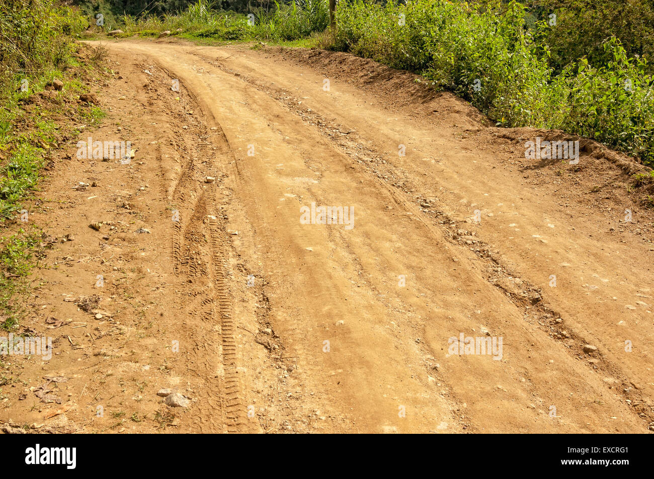 Uphill dirt road with tire tracks and grasses on both sides Stock Photo ...