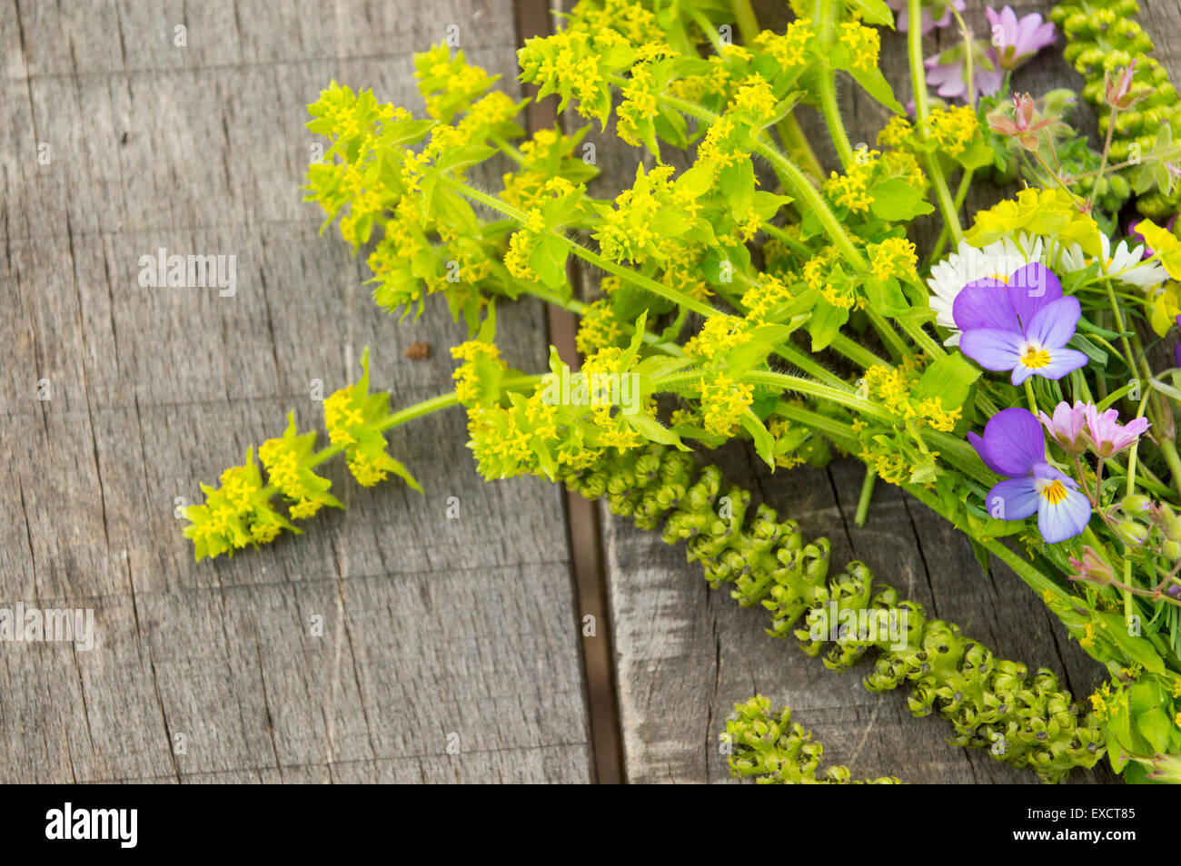 Love and romance with flowers hi-res stock photography and images - Alamy