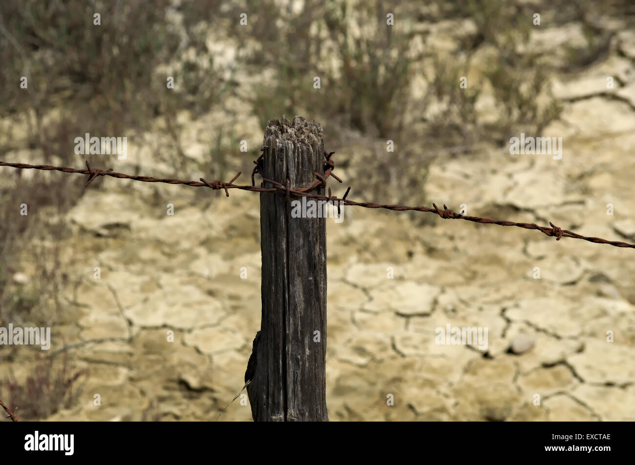 barbed wire to protection Stock Photo - Alamy