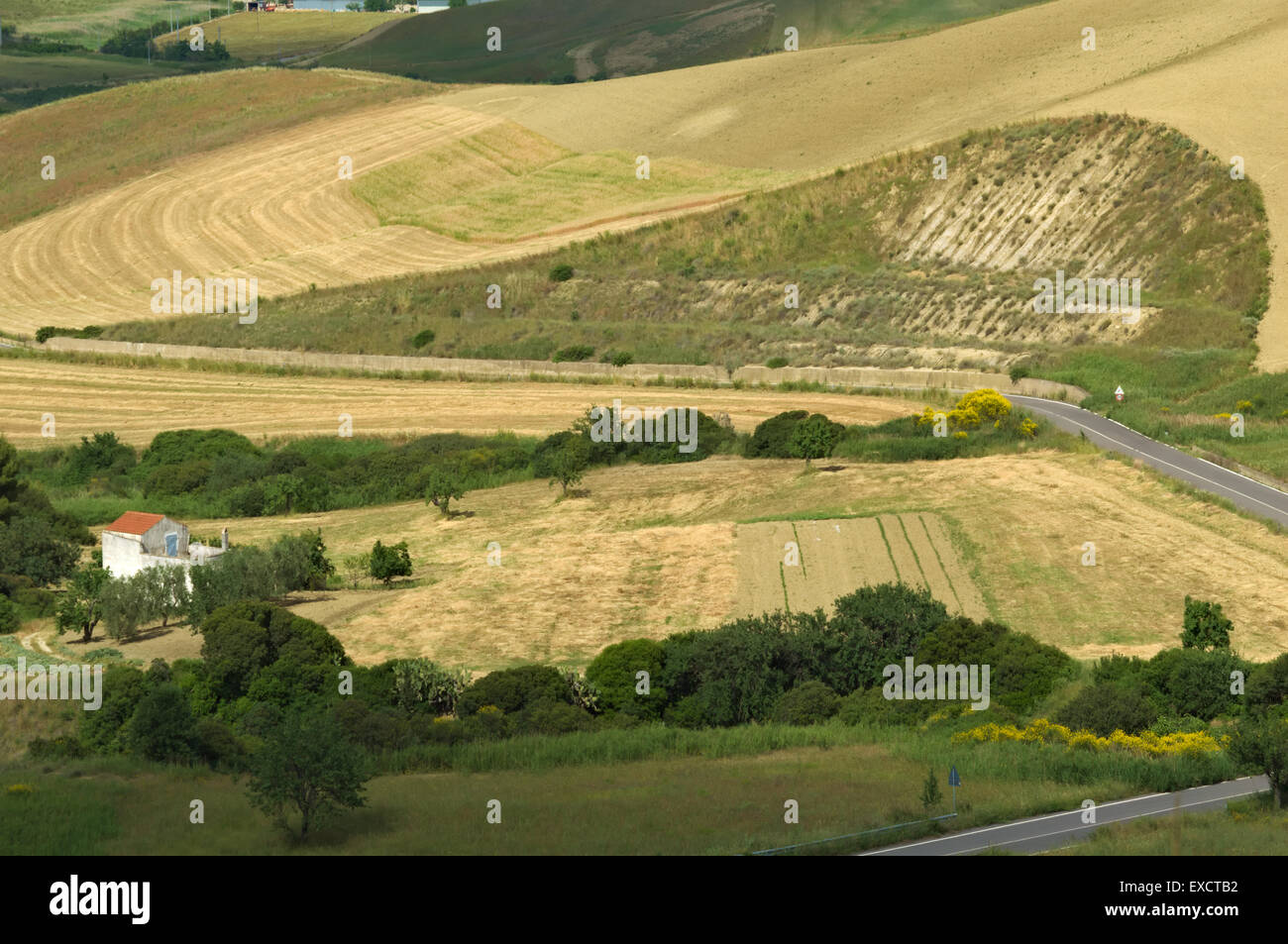a small house in rural area near the town of Pomarico (Basilicata ...