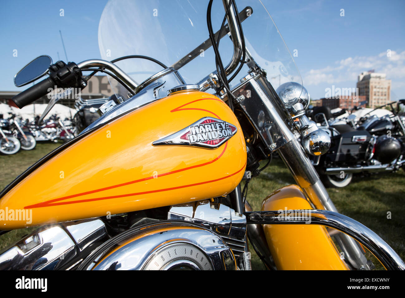 Harley Davidson motorcycles during a Harley rally Stock Photo - Alamy