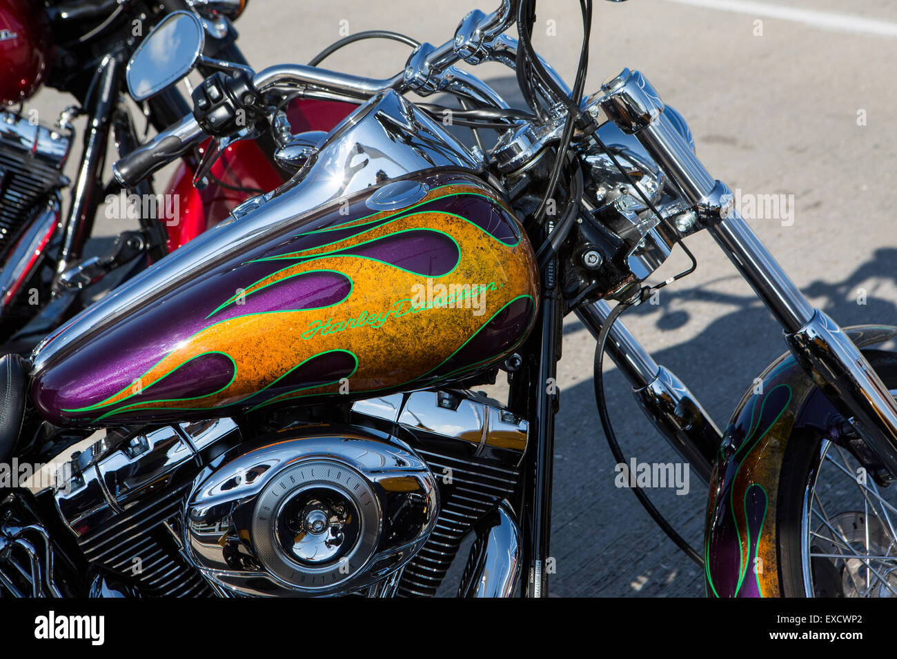 Harley Davidson motorcycles during a Harley rally Stock Photo - Alamy