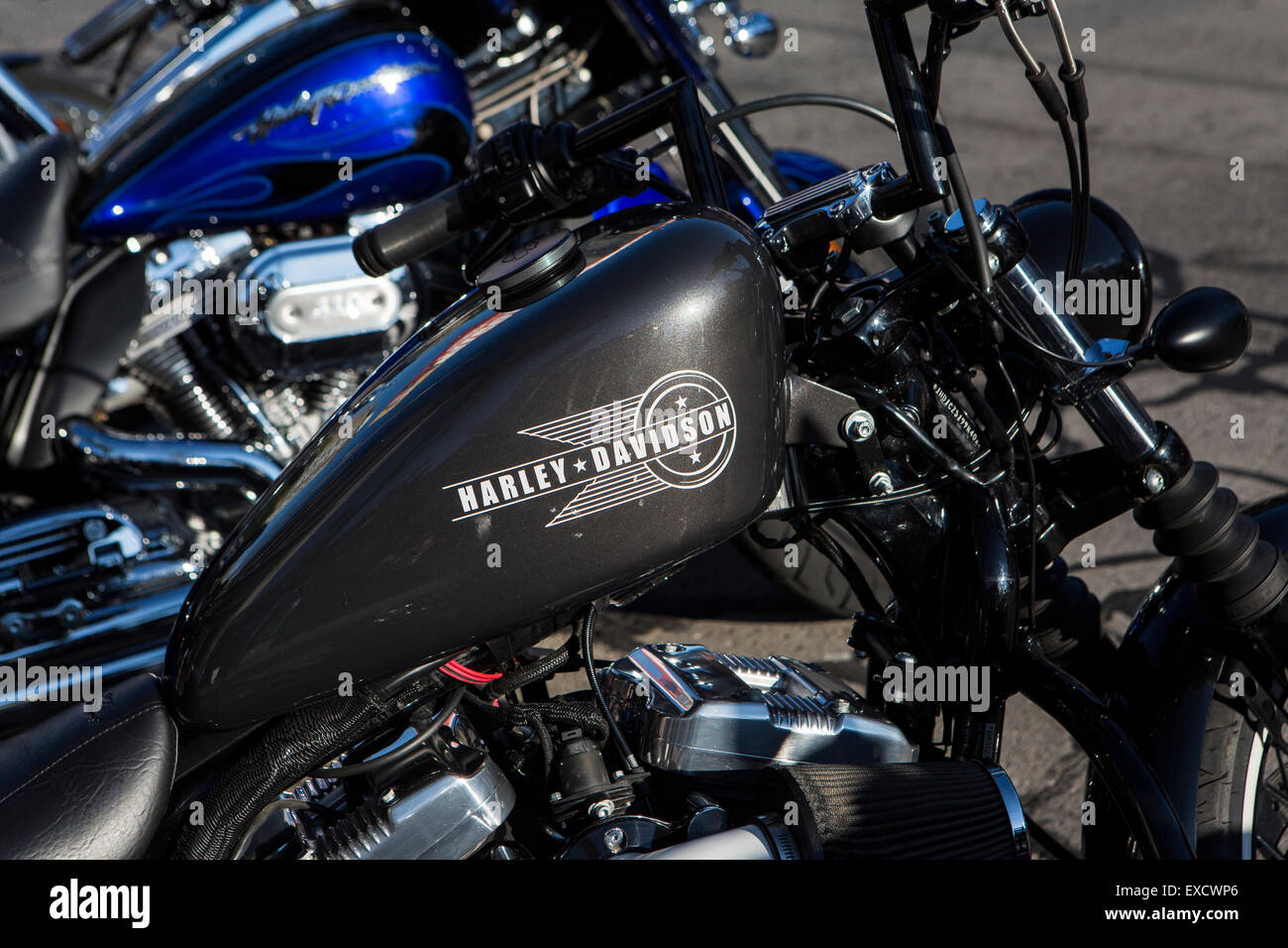 Harley Davidson motorcycles during a Harley rally Stock Photo - Alamy