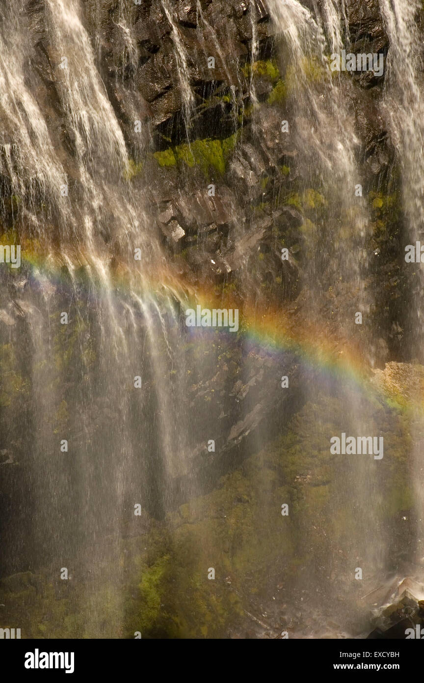 Narada Falls with rainbow, Mt Rainier National Park, Washington Stock ...