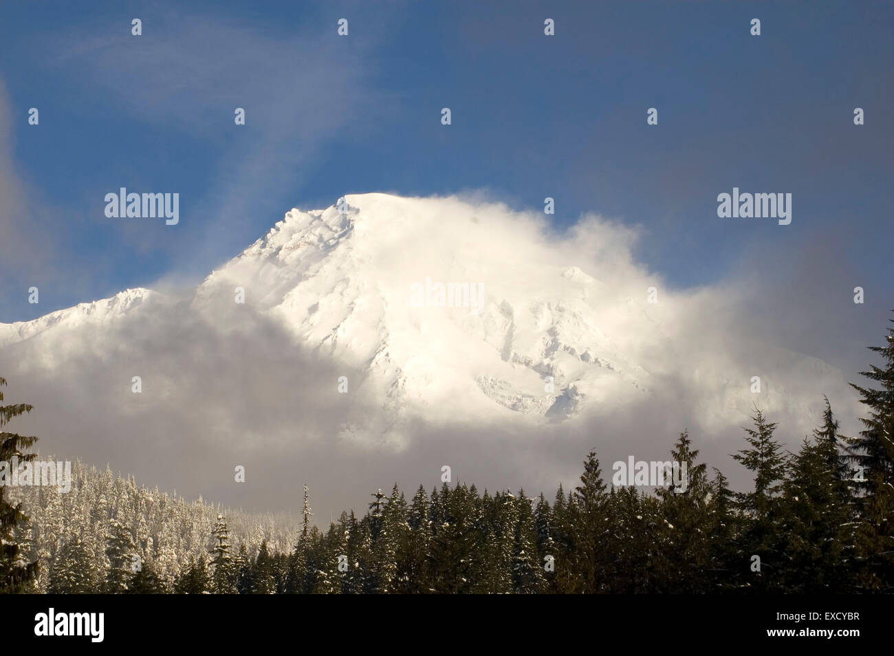 Mt Rainier from Longmire, Mt Rainier National Park, Washington Stock ...