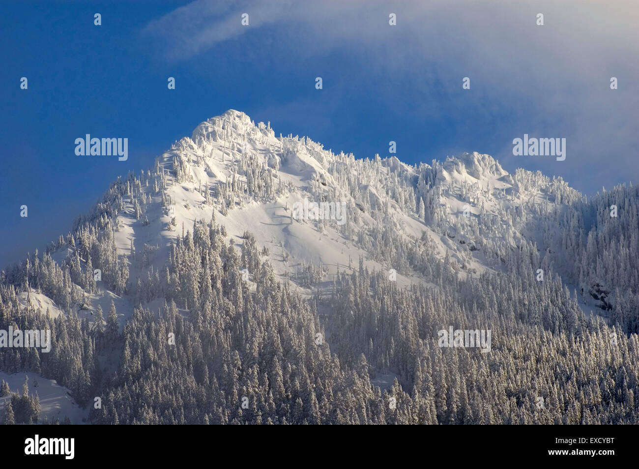 Eagle Peak from Longmire, Mt Rainier National Park, Washington Stock ...
