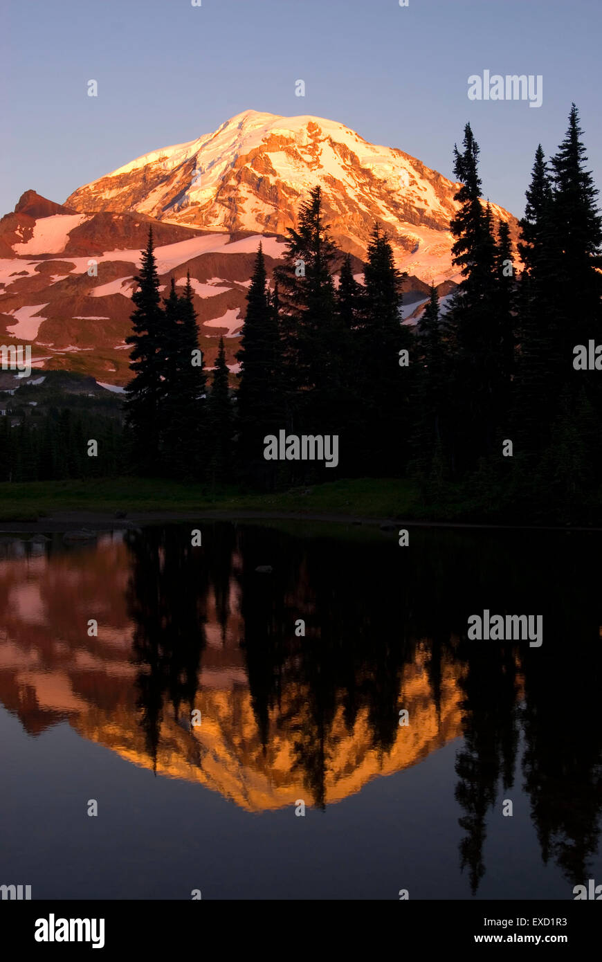 Mt Rainier reflection from Spray Park, Mt Rainier National Park ...