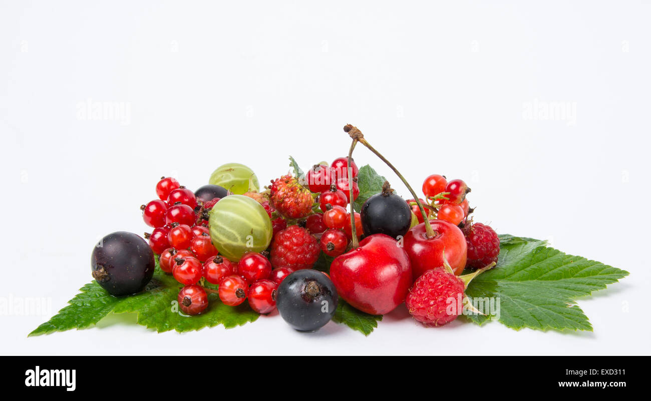 fresh berry harvest Stock Photo - Alamy fresh berry harvest Stock Photo - Alamy