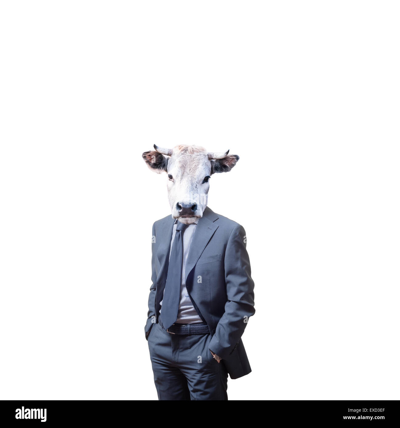 business man with bull head on white background Stock Photo - Alamy