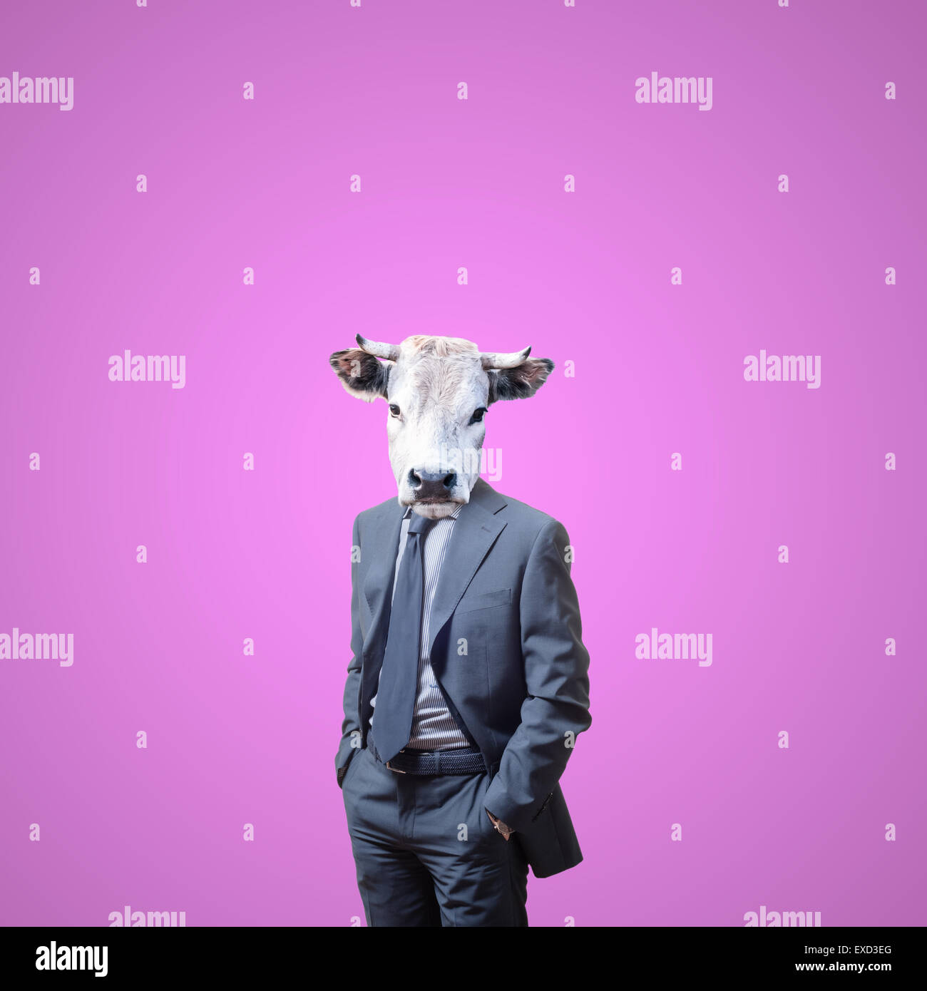 business man with bull head on pink background Stock Photo - Alamy