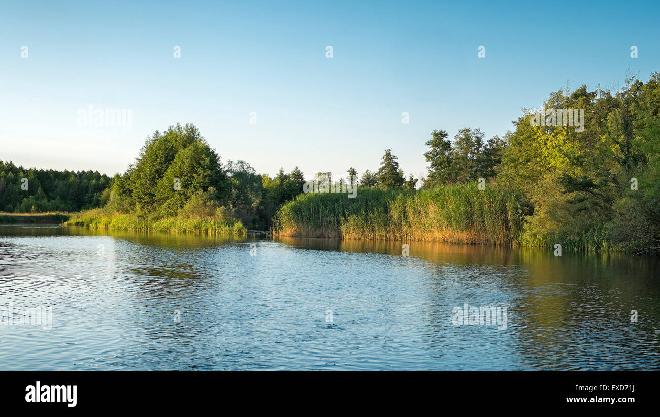 Riverside ecology hi-res stock photography and images - Alamy