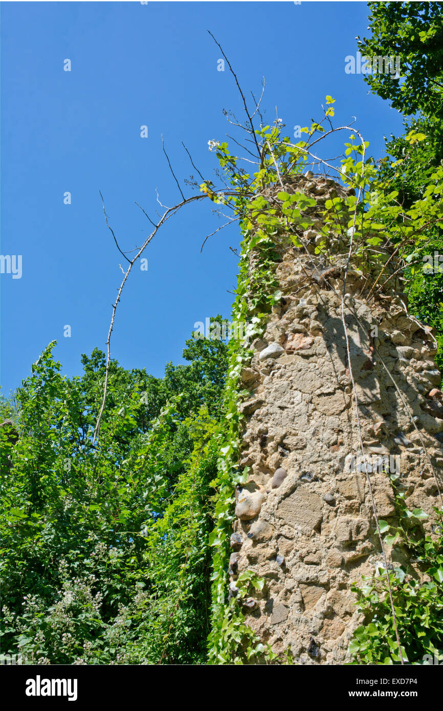 Tall wall hi-res stock photography and images - Alamy