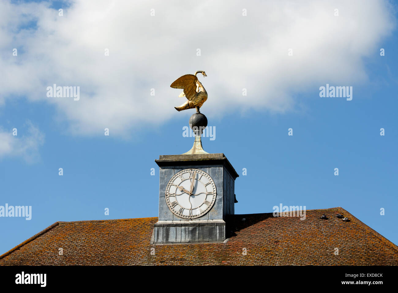 Town clocks hi-res stock photography and images - Alamy