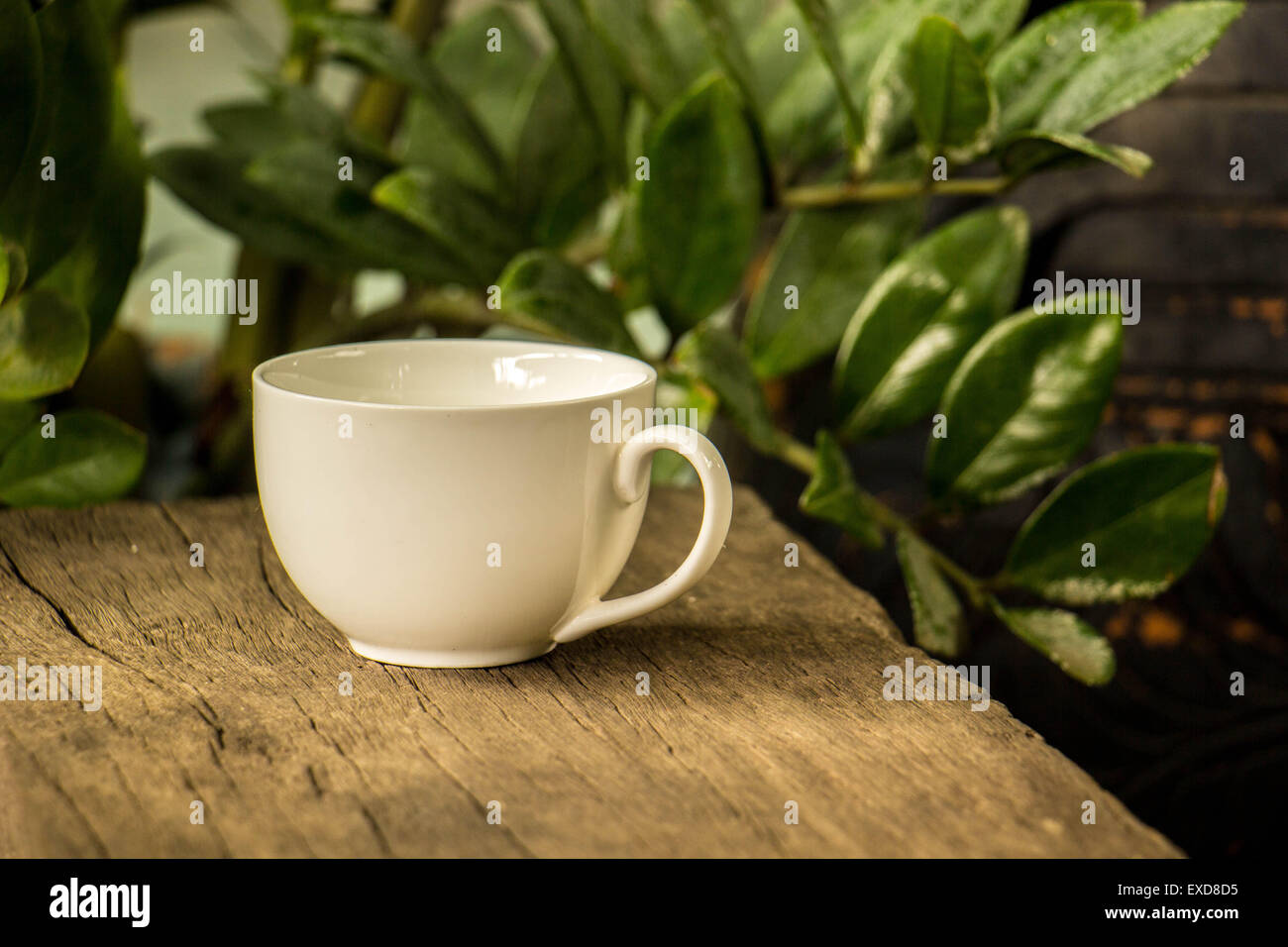 breakfast, drip, old, brew, best, espresso, jamoke, african, brewed ...